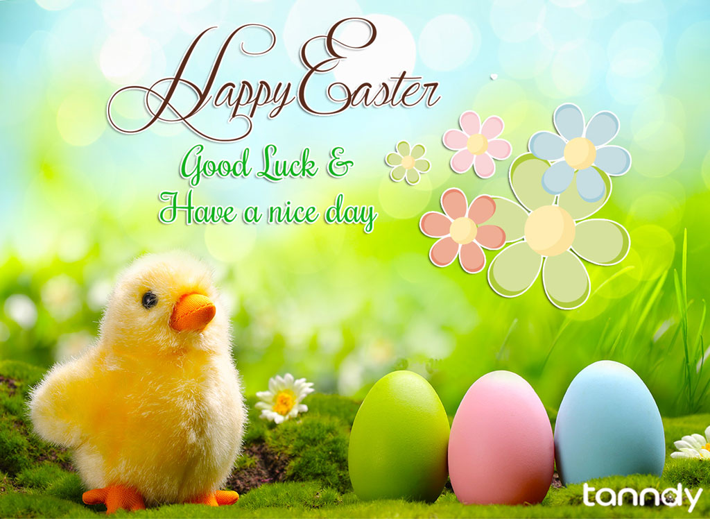 Tanndy Ltd wish you a Happy Easter Tanndy Ltd