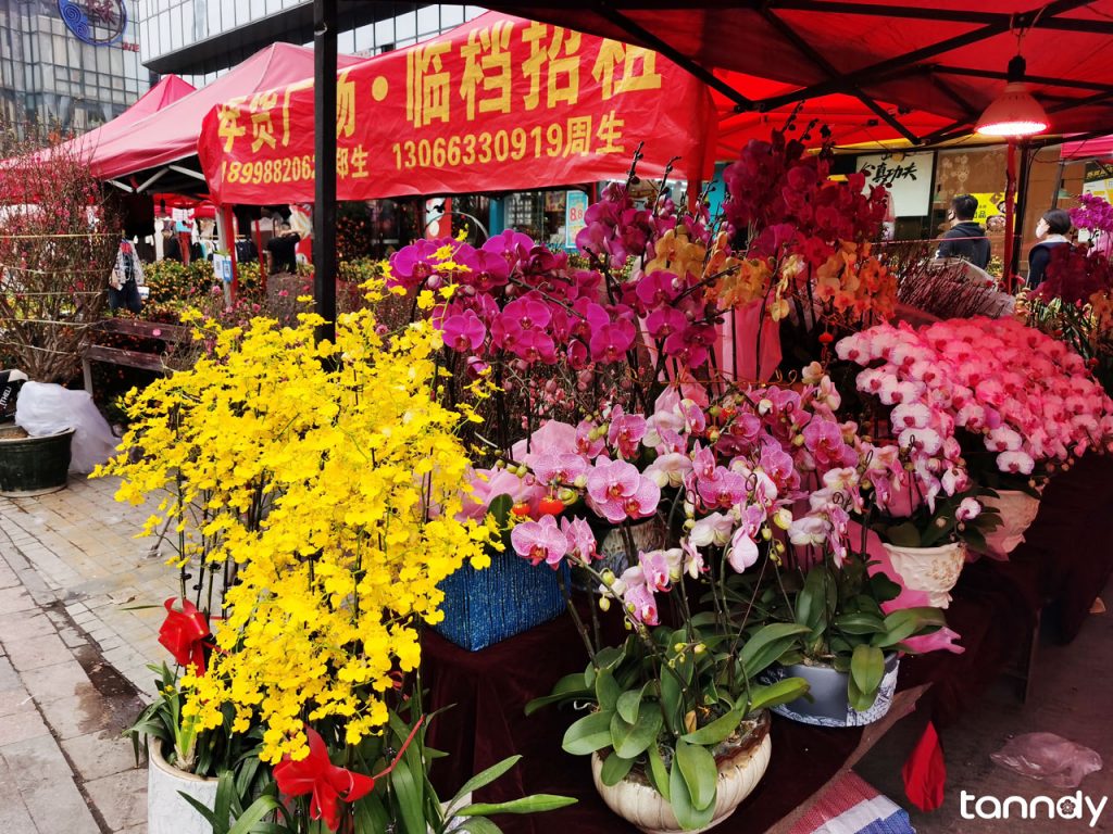Guangzhou is having a Spring Festival Flower Fair - Tanndy Ltd